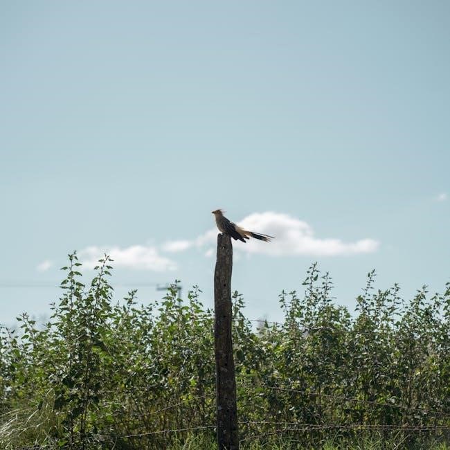 Post Op Extraction Instructions PDF | Easy Recovery Guide